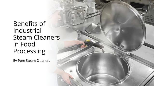 Benefits of Industrial Steam Cleaners in Food Processing | PDF