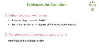 Presentation1 (1).pdf | Biological Sciences | Science