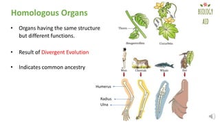 Presentation1 (1).pdf | Biological Sciences | Science