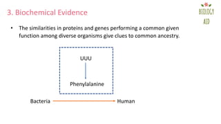 Presentation1 (1).pdf | Biological Sciences | Science