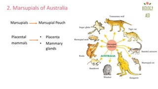 Presentation1 (1).pdf | Biological Sciences | Science