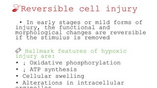 Presentation (11).pptx about cell injury | PPT