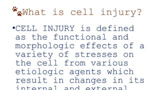 Presentation (11).pptx about cell injury | PPT