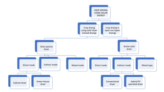 Different methods of crop drying using sun.pptx