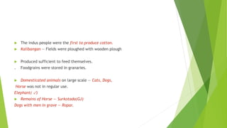 ancient history - pre-history powerpoint | PPT