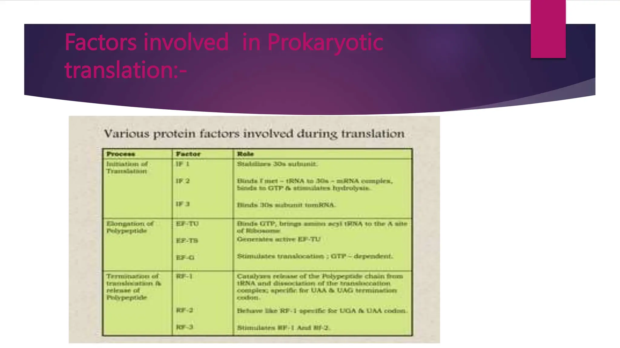 Translation in Prokaryotes like bacteria, E. coli | PPTX