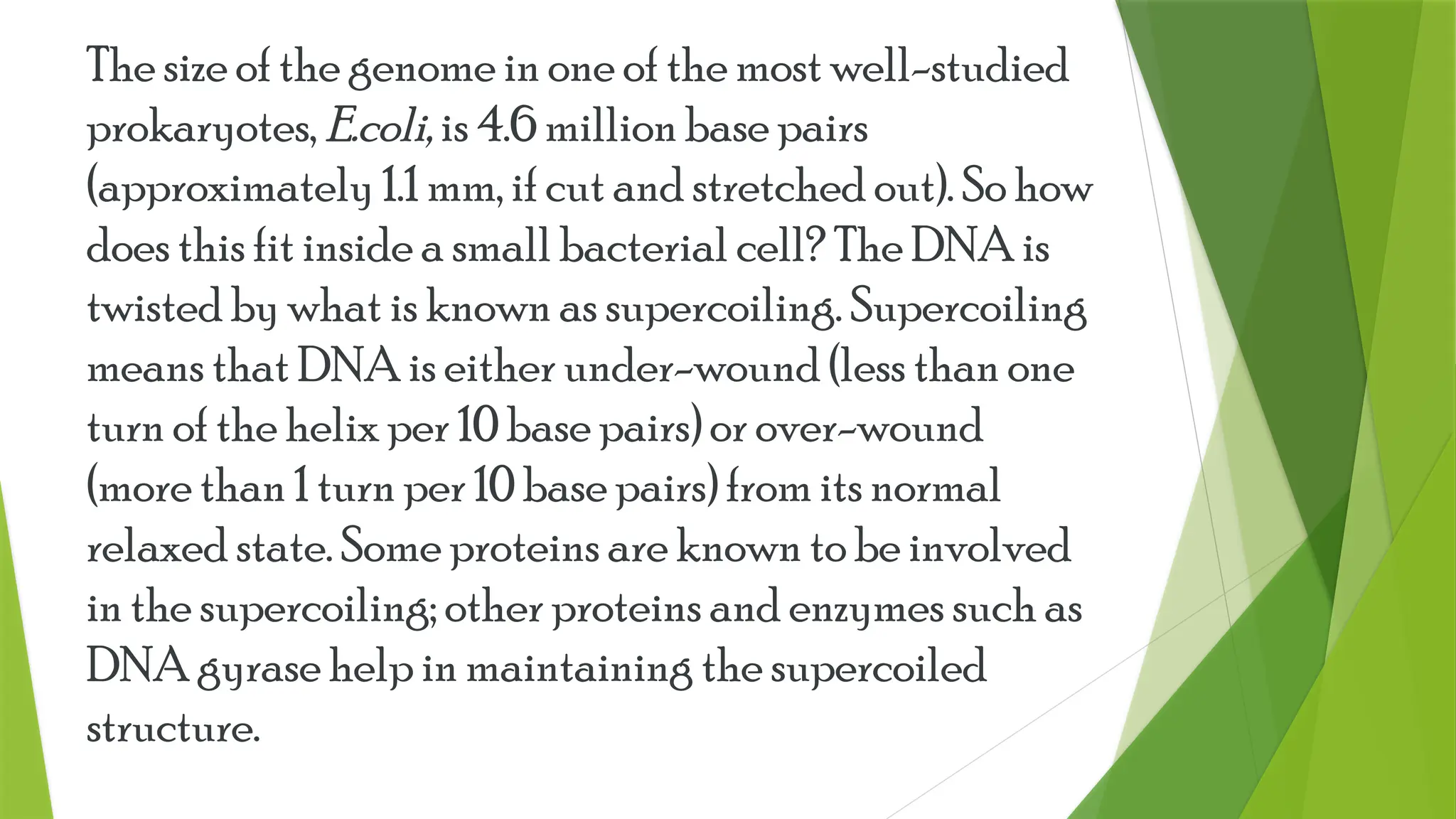 Dna packaging DNA Structure Packaging, Characteristics, Role | PPT