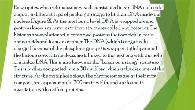Dna packaging DNA Structure Packaging, Characteristics, Role | PPT