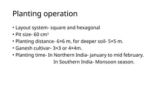 Presentation for agriculture students.pptx