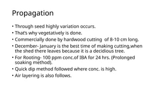 Presentation for agriculture students.pptx