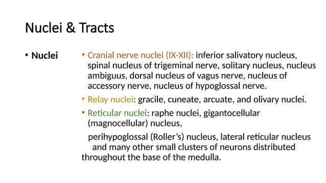 Presentation1[1].pptx of medulla oblongata | PPT