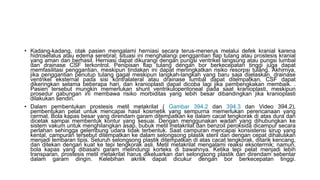 Presentation1 (1) (1).pptx