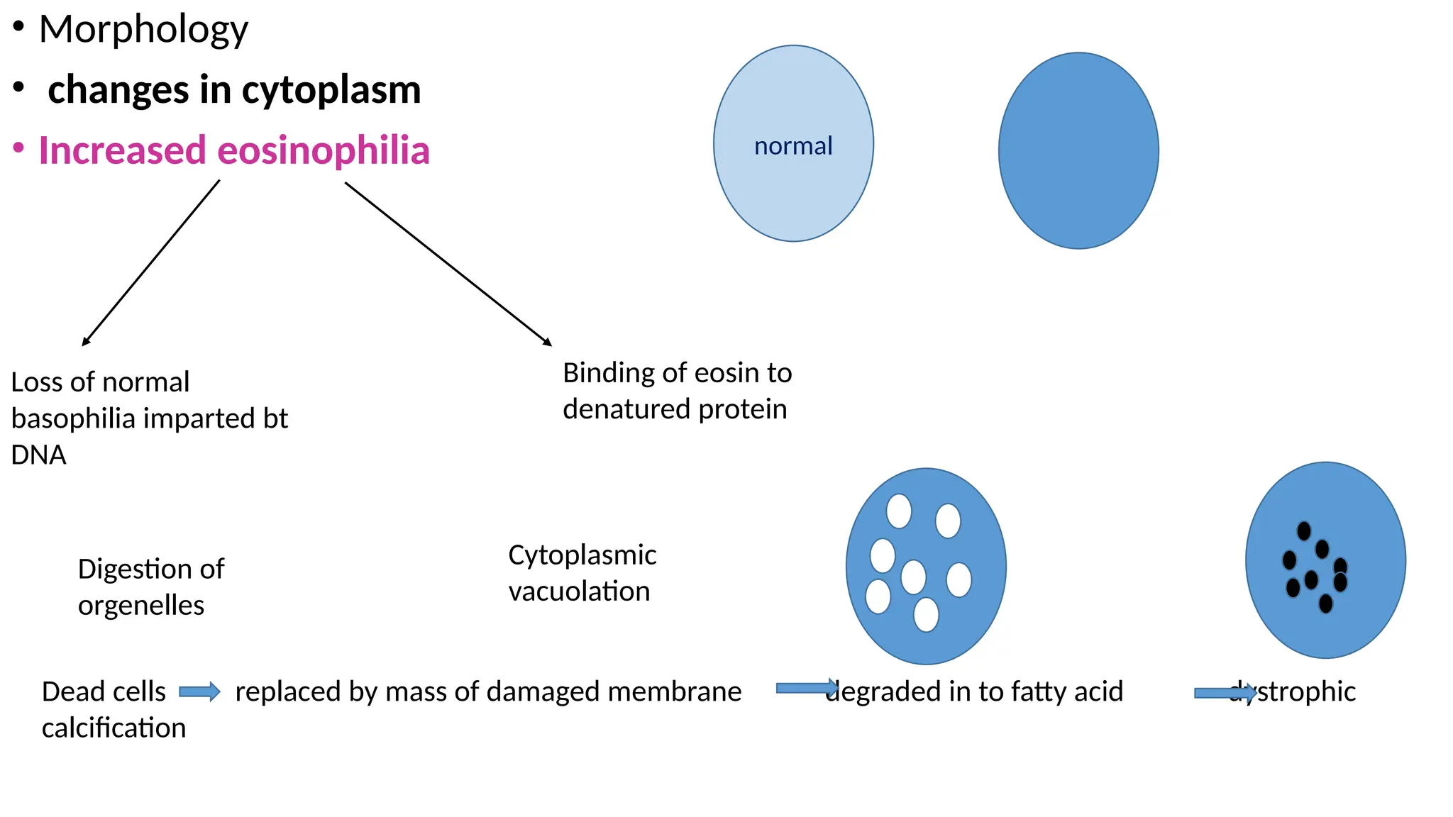 necrosis and degeneration-cell degeneration | PPTX