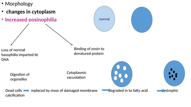 necrosis and degeneration-cell degeneration | PPTX | Chemistry | Science