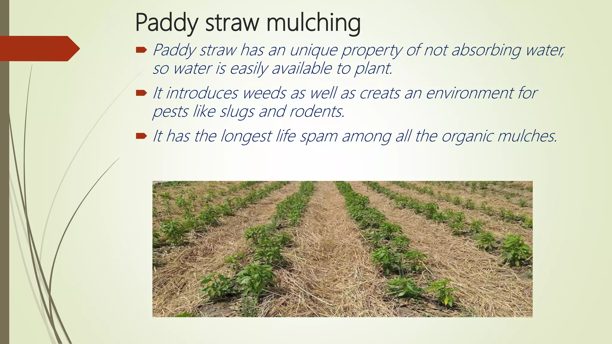 mulching and its types | PPTX