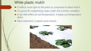 mulching and its types | PPTX