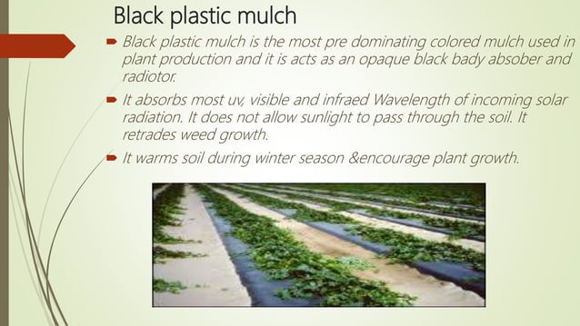 mulching and its types | PPTX | Landscaping | Home & Garden