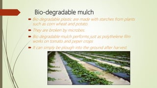 mulching and its types | PPTX