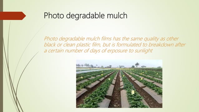 mulching and its types | PPTX | Landscaping | Home & Garden