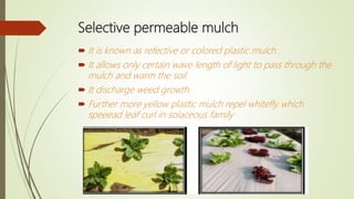 mulching and its types | PPTX