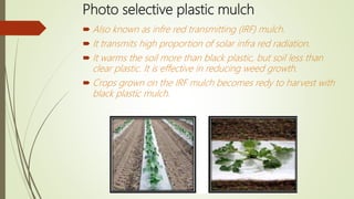 mulching and its types | PPTX