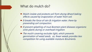 mulching and its types | PPTX