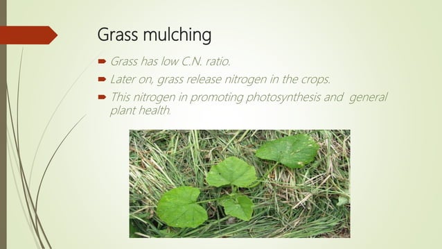 mulching and its types | PPTX | Landscaping | Home & Garden