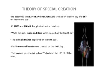 Special creation............................. | PPTX