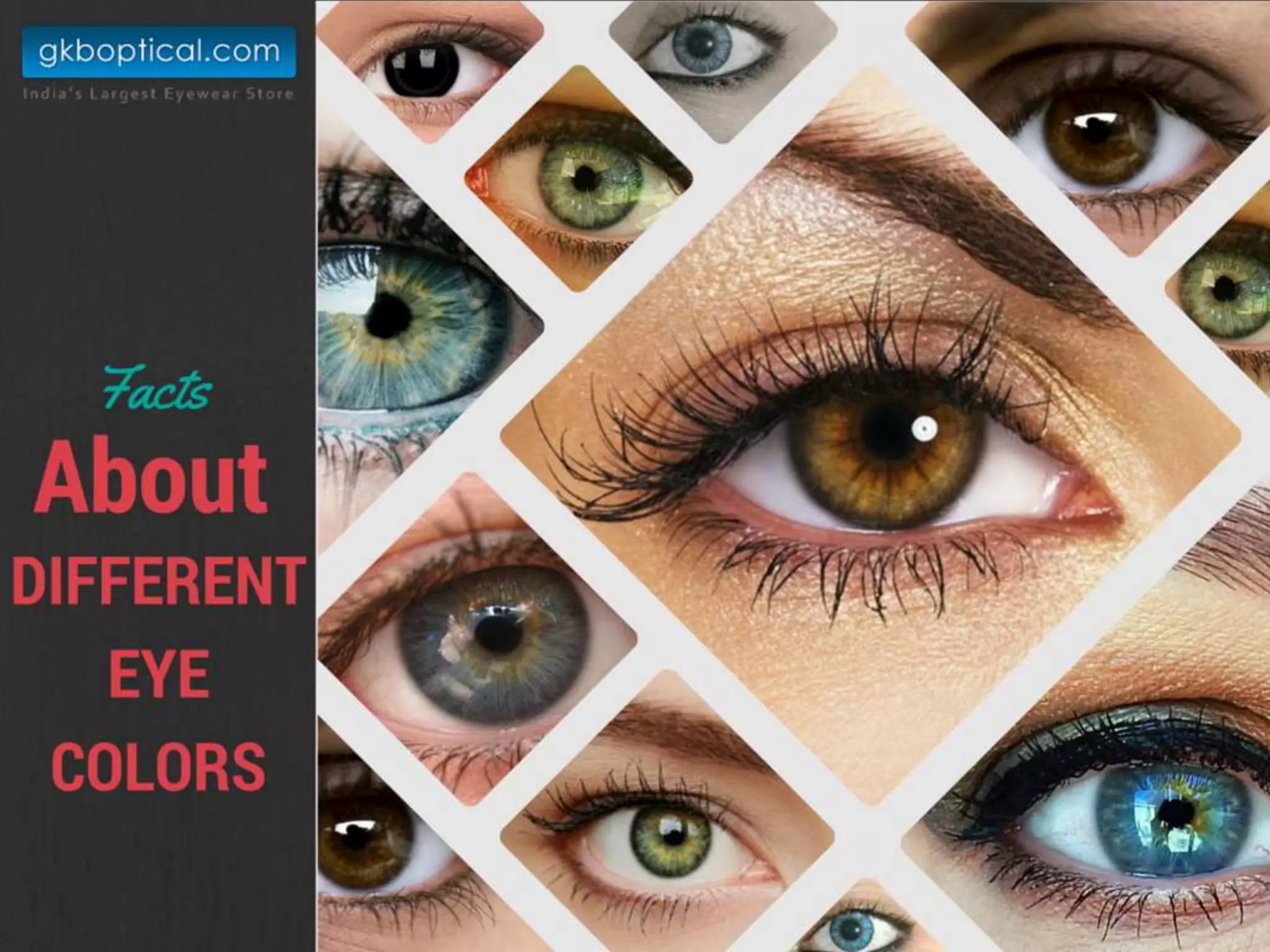 Facts about different Eye Colours | PPT