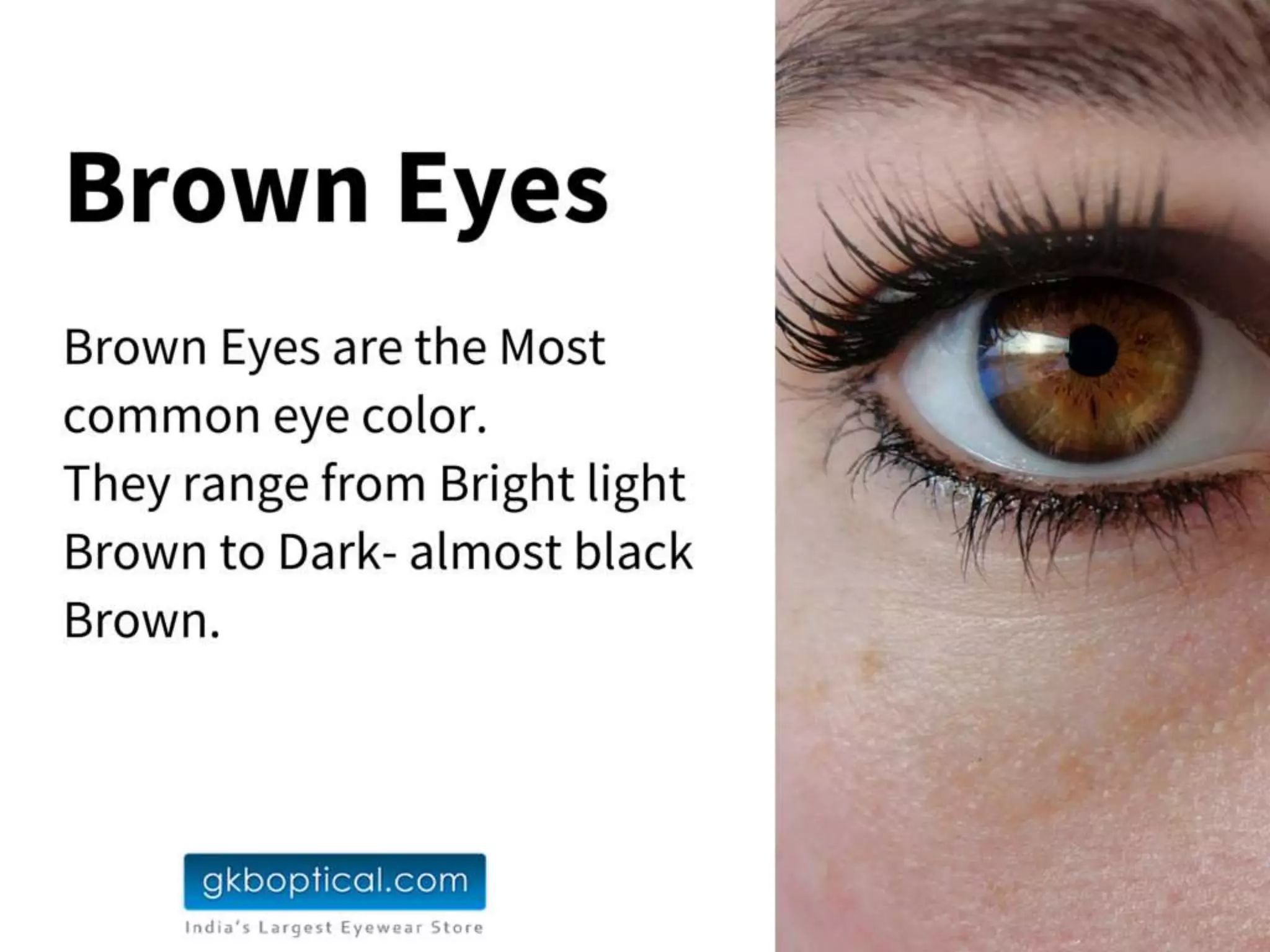 Facts about different Eye Colours | PPT