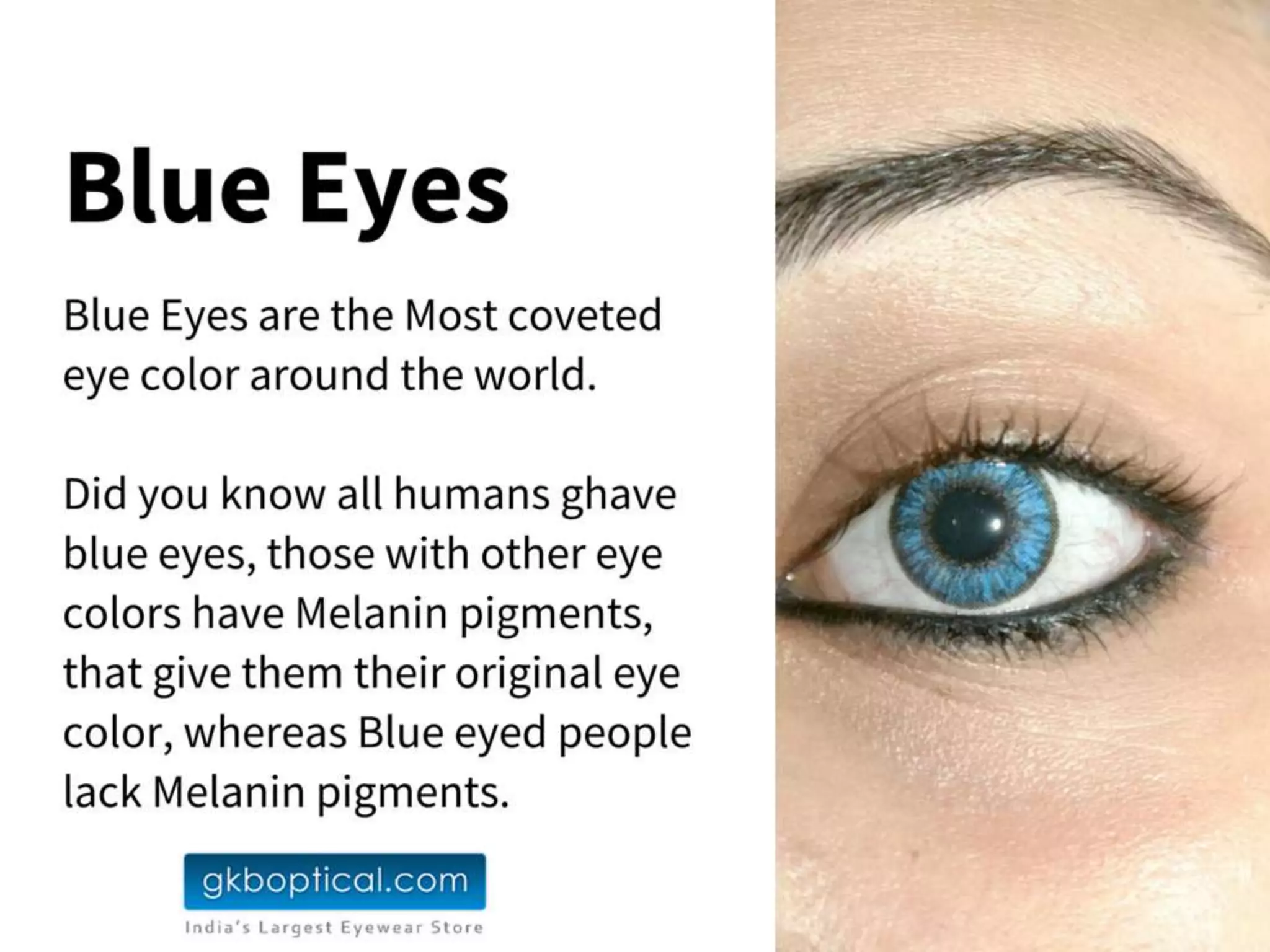 Facts about different Eye Colours | PPT