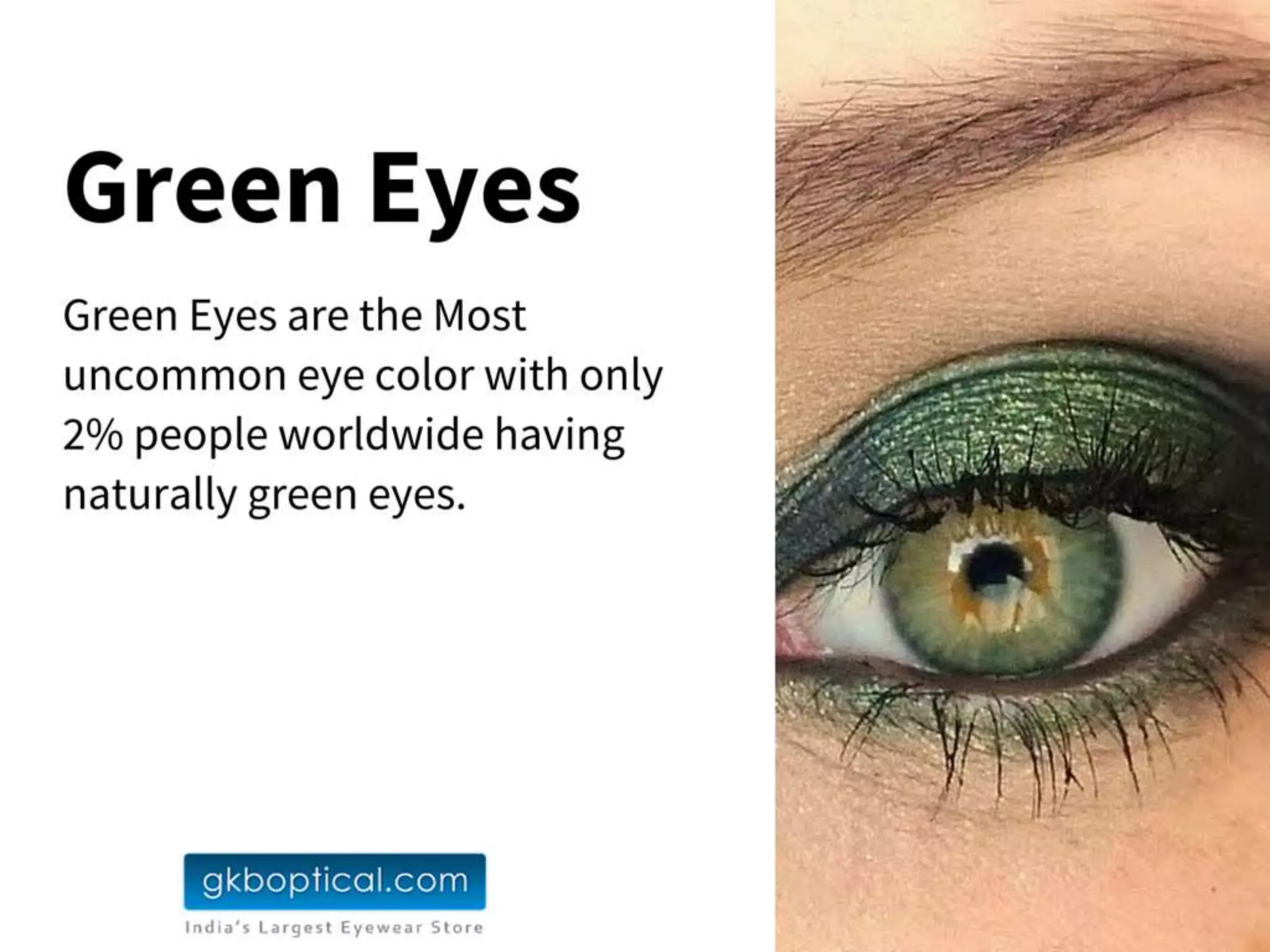 Facts about different Eye Colours | PPT