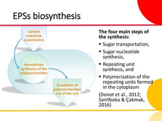 Production of Exopolysaccharides | PDF