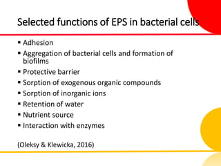 Production of Exopolysaccharides | PDF
