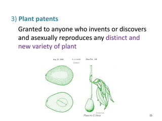 patent in food industry | PPTX