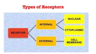 Slide on mechanism of hormone action(endocrinology) | PDF