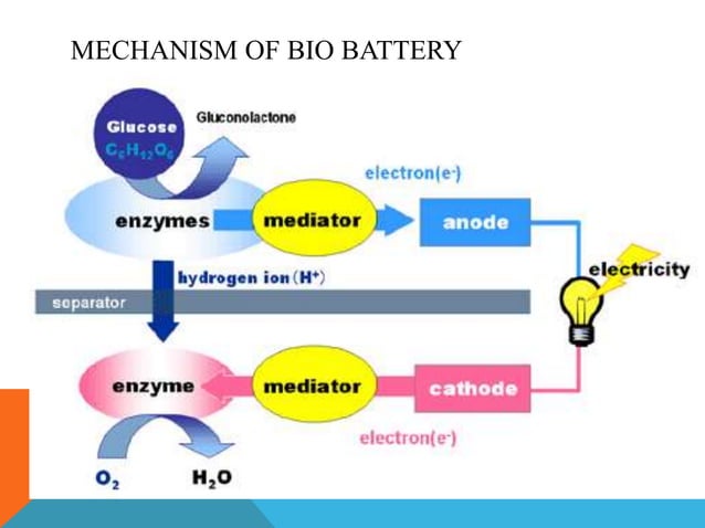 bio battery ppt | PPTX