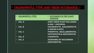 Chloroplast and its different types …….. | PPTX