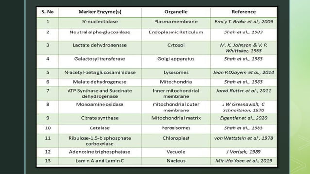 Chloroplast and its different types …….. | PPTX