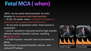 Presentation 11MCA Doppler .pdf
