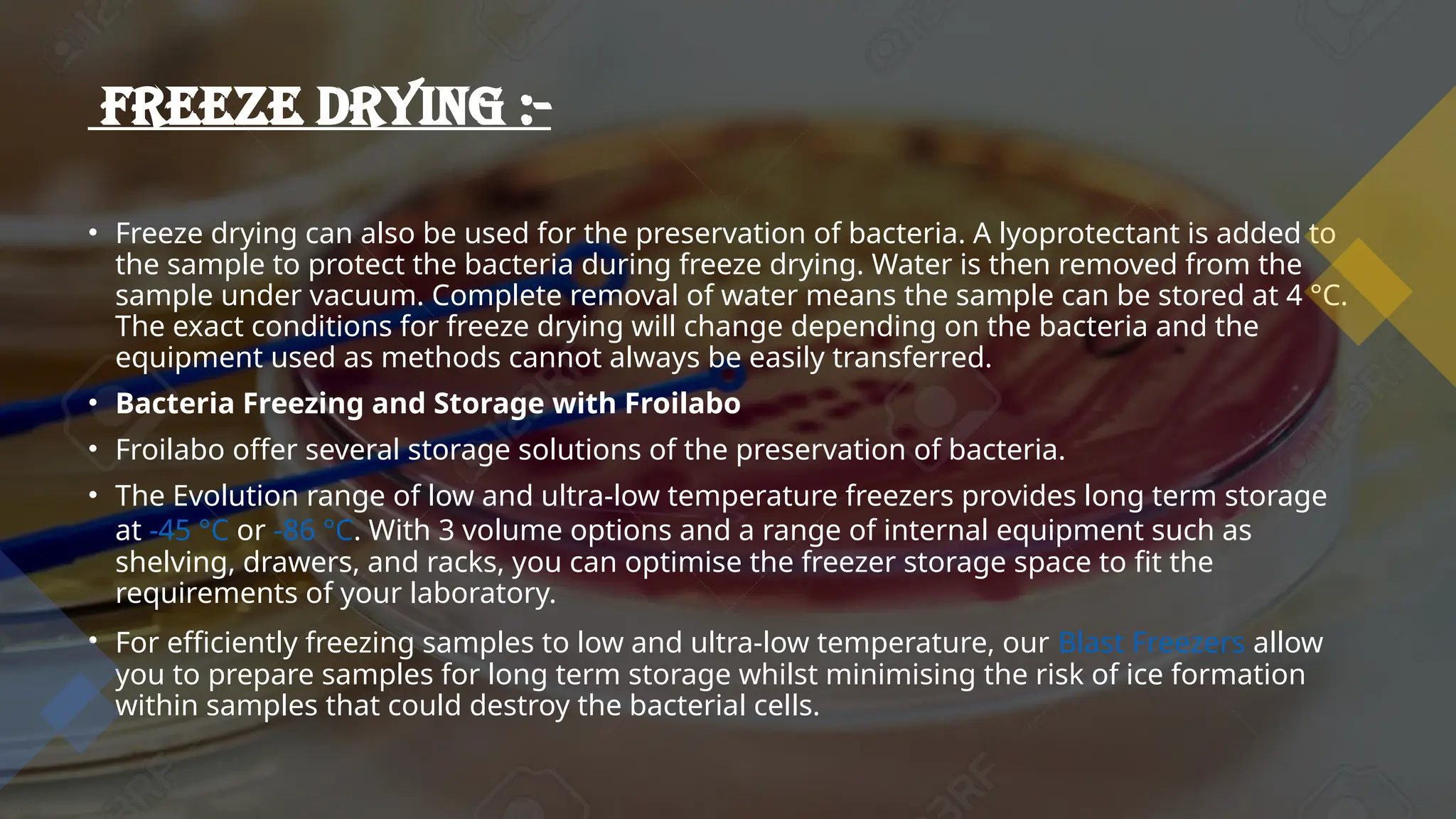 PRESERVATION AND MAINTENANCE OF MICROBES .pptx