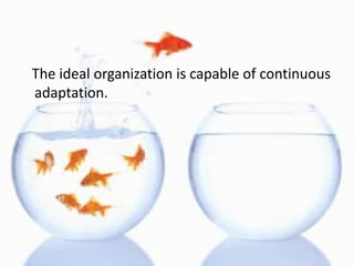 episodic and continuous change | PPTX