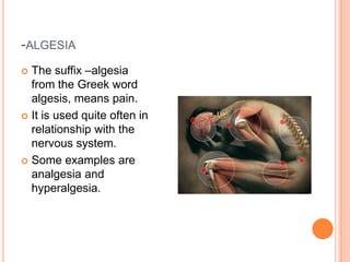 Presentation 12 | PPT