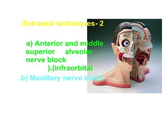 Anesthesia | PPT | Dental Health | Diseases and Conditions