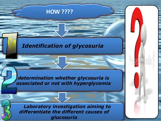 Investigations of glycosuria