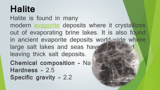 Presentation1 | PPTX | Commodities | Economy