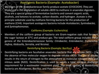 Microorganism in sewage treatment,Biodiversity and roles | PPT