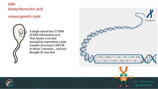 DNA Splice site prediction | PPSX