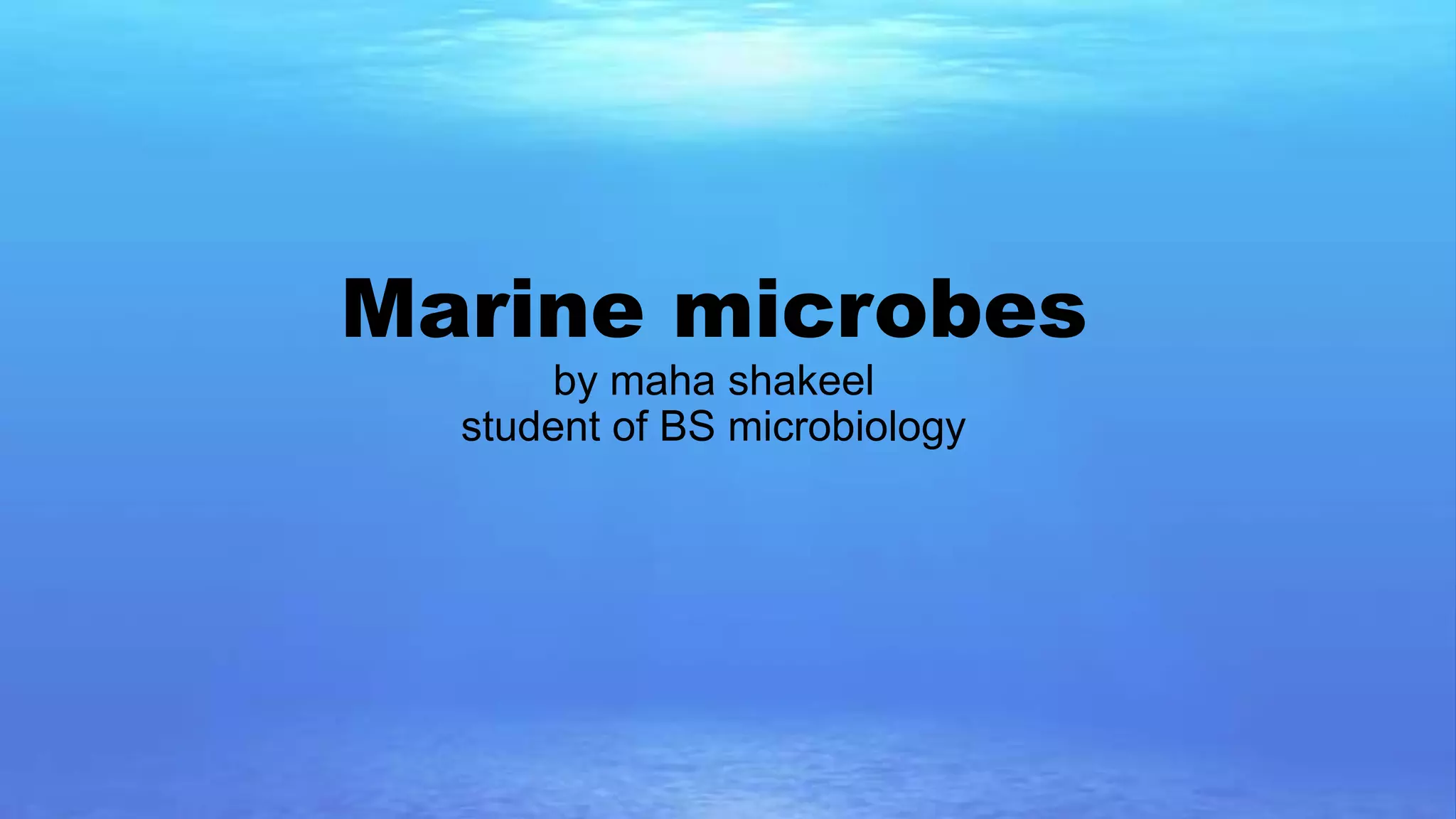 marine water microbes | PPTX