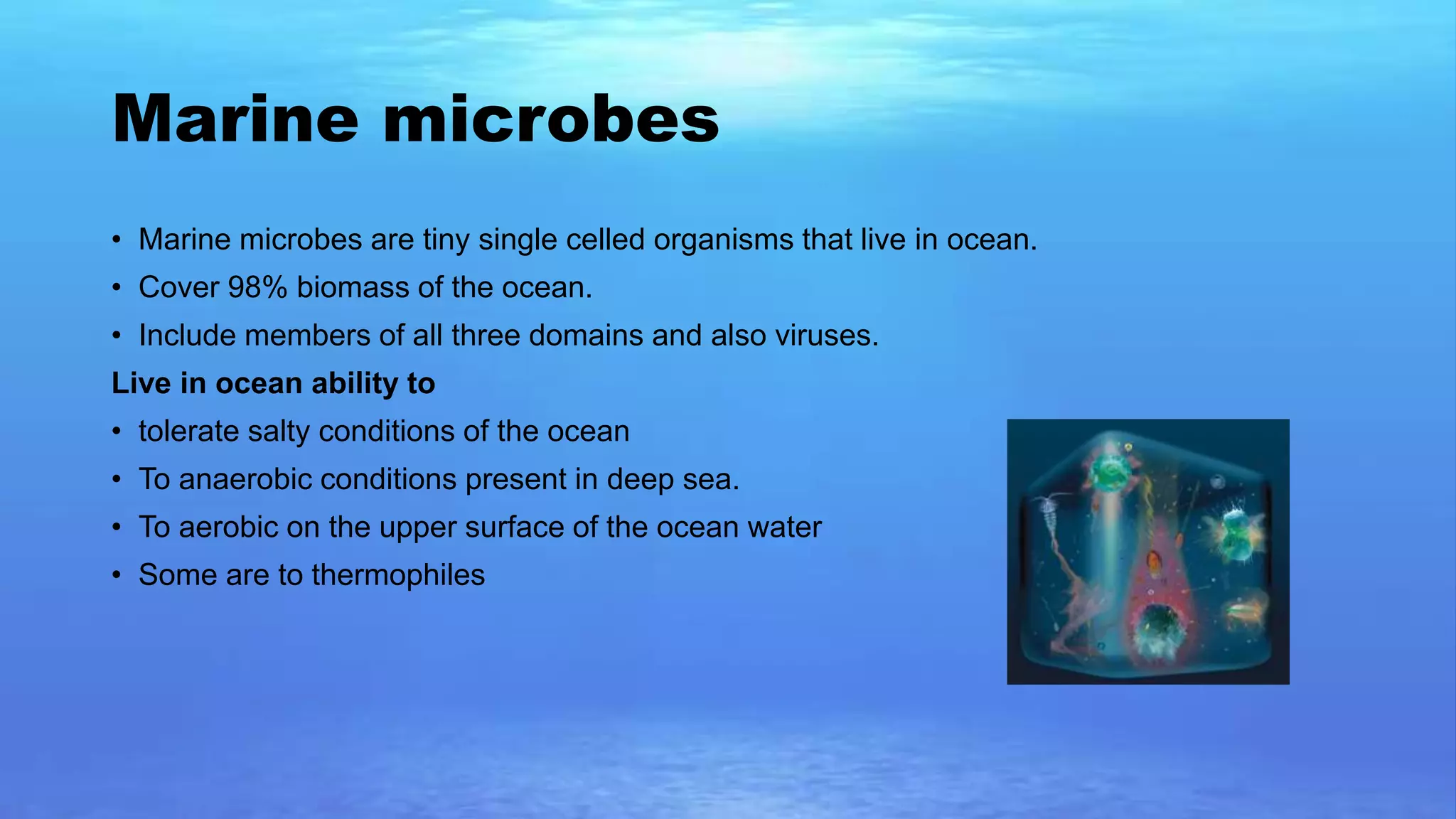 marine water microbes | PPTX